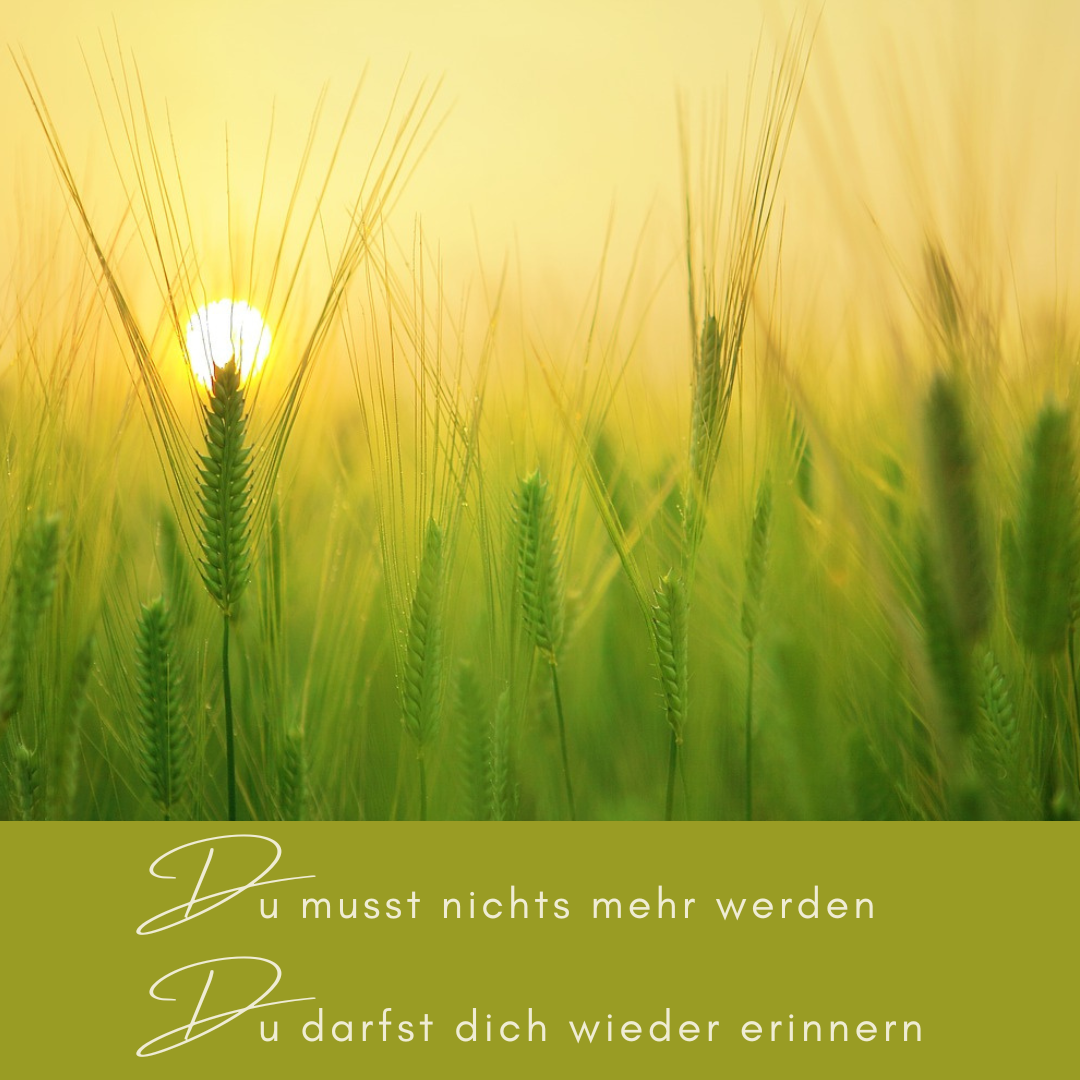 Du Bist Bereits Vollkommen Birgit Golling